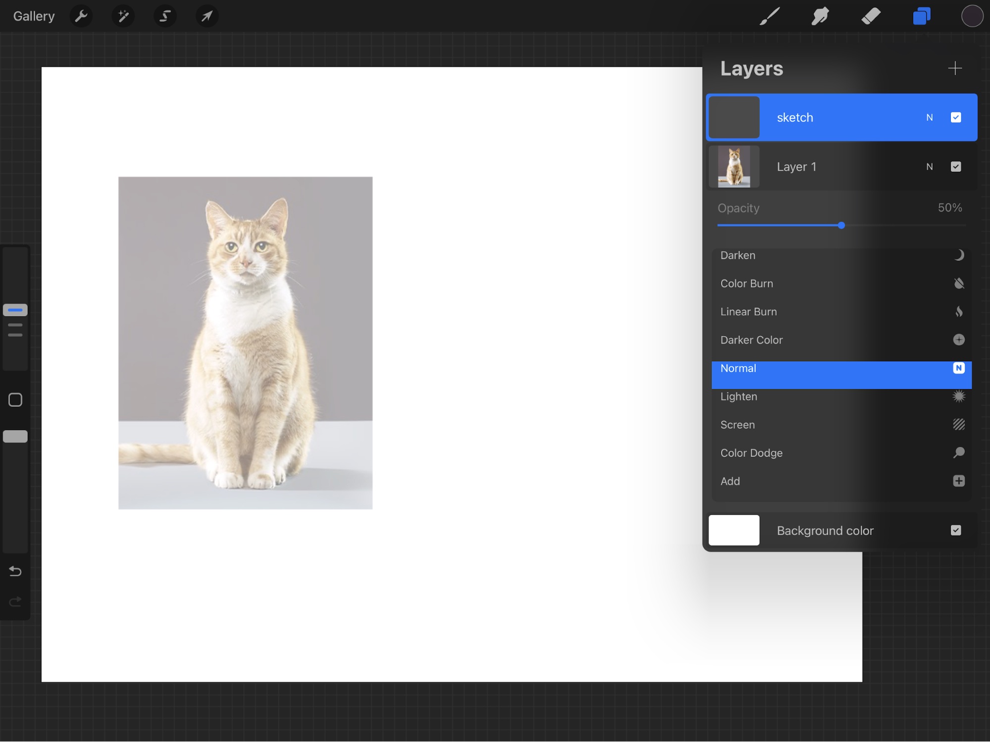 How to draw simple, cute animals using basic shapes - Astropad How to draw simple, cute animals using basic shapes - Astropad